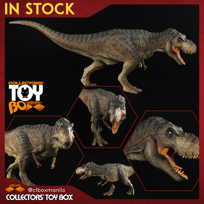 Dinosaur – Collectors Toy Box