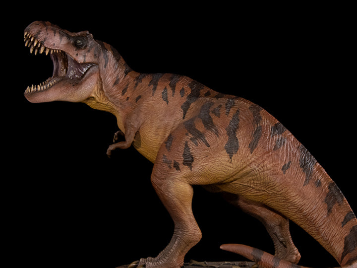 Dinosaur – Collectors Toy Box