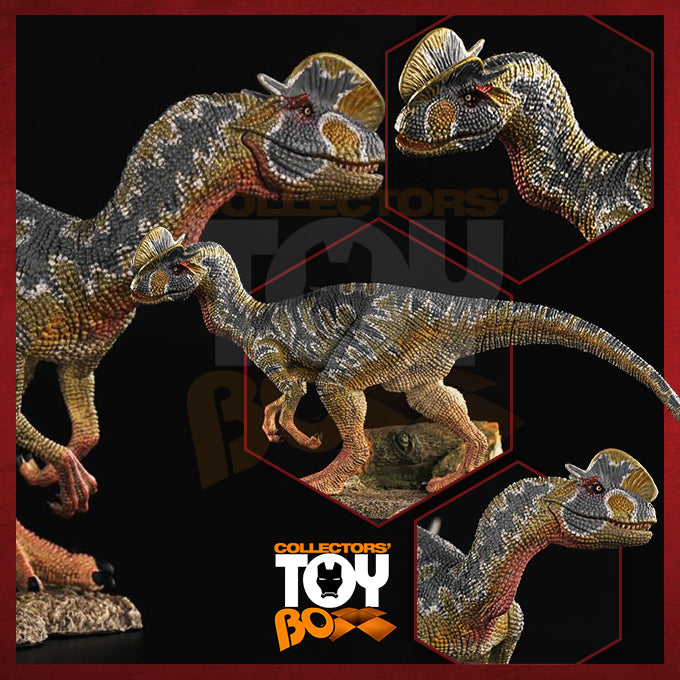 Dinosaur – Collectors Toy Box